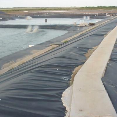 Cina Geomembrana ecologica resistente ai raggi UV e di lunga durata per rivestimenti di piscine in vendita