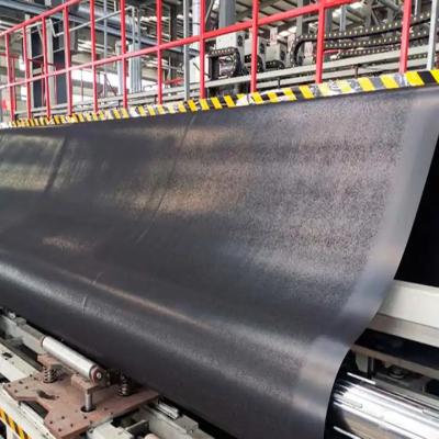 Cina Geomembrana texturata a lato unico di design moderno per la protezione dei pendii dai produttori in vendita