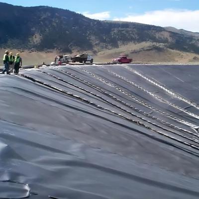 Cina Geomembrane con modelli spessore 1 mm 2 mm lunghezza 50-100m ASTM GRI-GM13 Standard Direttamente in vendita