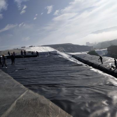Cina Piscine di pesce Piscine di pesce Geomembrana impermeabile 1 mm 2 mm per rivestimento artificiale della diga del serbatoio del lago in vendita