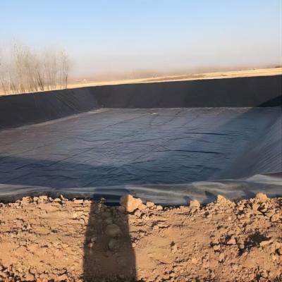 Cina 1 mm 2 mm Spessore Geomembrana per stagno di pesce Liner resistenza alla foratura resistenza alla rottura in vendita