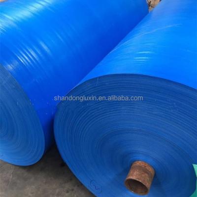 中国 パーソナライズされた色のポリエチレンタパウリン 防水 防日 防塵 販売のため