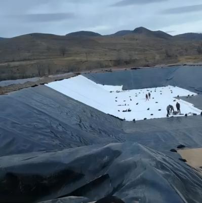 Cina Distribuzione Polietilene ad alta densità EVA HDPE Geomembrana impermeabile anti-fuga in vendita