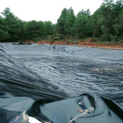 Cina ASTM GRI-GM13 Geomembrane standard per stagni di pesci e gamberetti Spessore 0,5 mm-2,8 mm in vendita