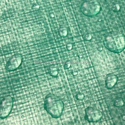 Pls Contact Style Green PE Tarpaulin Waterproof Dust Proof Sun Resistant Coated Style