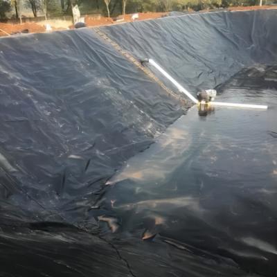 Cina Geomembrana in HDPE ad alta densità con funzione impermeabile in vendita