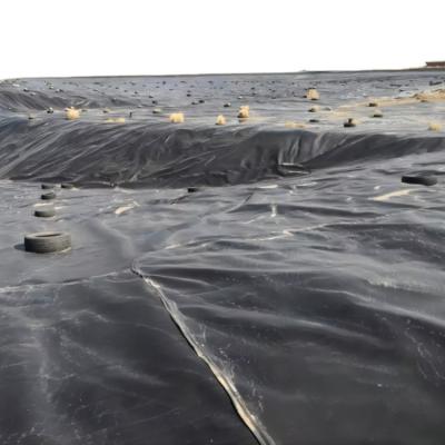 Cina Geomembrana in HDPE ad alta densità con funzione impermeabile in vendita