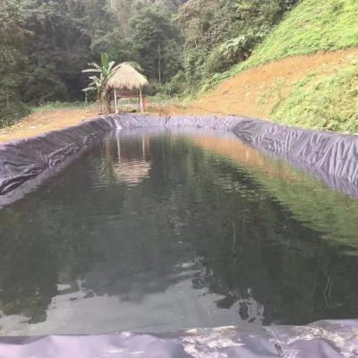 Cina 0.2mm 0,75mm HDPE Geomembrane Sheet Film per doppia superficie liscia GM13 in vendita