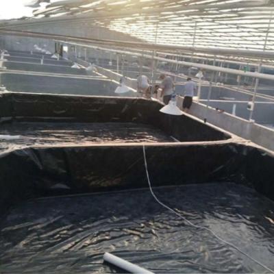 Cina ISO9001 Standard Geomembrana in HDPE Prevenzione dell'acqua e delle perdite con vendita diretta in vendita