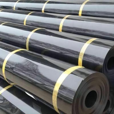 Cina ISO9001 Standard Geomembrana in HDPE Prevenzione dell'acqua e delle perdite con vendita diretta in vendita