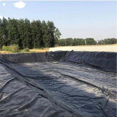 Cina Geomembrana EVA in polietilene ad alta densità nero per serbatoi di stoccaggio dell'acqua agricola in vendita