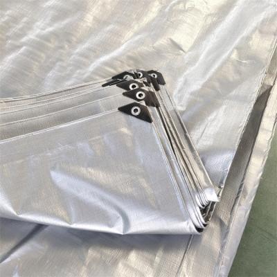Cina Alta durezza superficiale argento grigio tessuto in polietilene PE telone per impermeabile in vendita