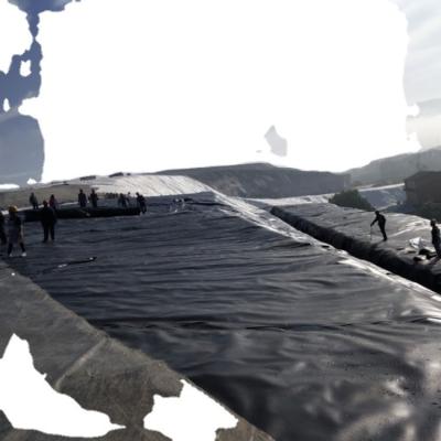 Cina Capacità di progettazione grafica Stile industriale HDPE Geomembrane Liner 1.0 mm per stagno in vendita