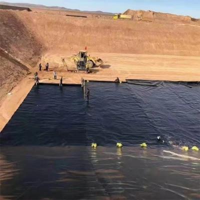 Cina Geomembrana in HDPE da 1 mm per piscicoltura in vendita