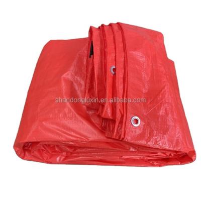 Cina Tarpaolina di polietilene resistente ai raggi UV prodotta direttamente con densità di 140 gsm in vendita
