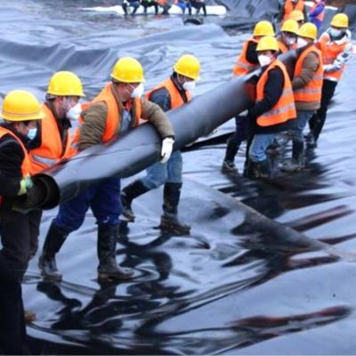 Cina Geomembrana in HDPE a doppia texture per serbatoi di stagni e fornitori di soluzioni per stagni in vendita