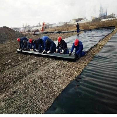 Cina Doppia texture HDPE Geomembrane Fish Farm Pond Liner con capacità di soluzione di progetto in vendita