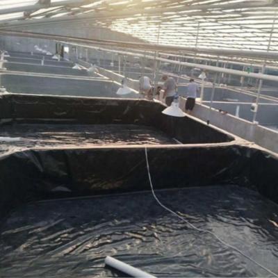 Cina Doppia texture HDPE Geomembrane Fish Farm Pond Liner con capacità di soluzione di progetto in vendita