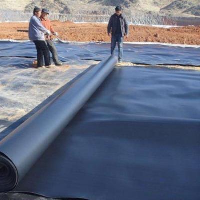 Cina Geomembrana in HDPE liscia/tessuta da 1 mm e 1,5 mm per lo stile di progettazione industriale a prezzi competitivi in vendita