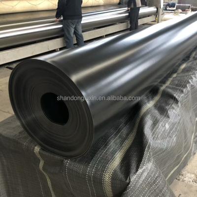 Cina Geomembrana in HDPE liscia/tessuta da 1 mm e 1,5 mm per lo stile di progettazione industriale a prezzi competitivi in vendita