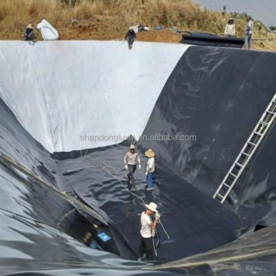 Cina Geomembrana in HDPE liscia/tessuta da 1 mm e 1,5 mm per lo stile di progettazione industriale a prezzi competitivi in vendita