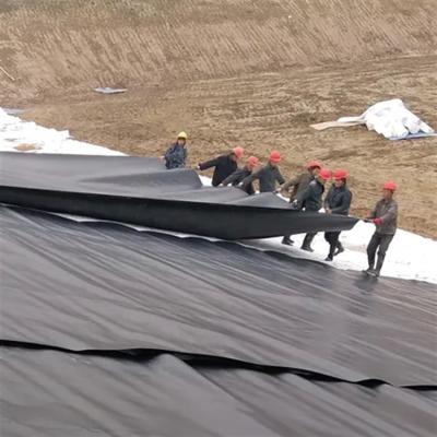 Cina 1.5mm HDPE Geomembrane Liner Fogli di costo per la capacità di soluzione del progetto di impermeabilizzazione in vendita