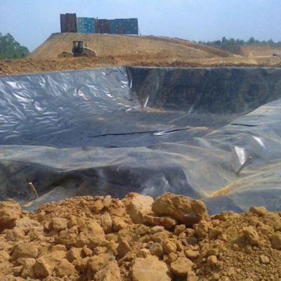 Cina 1.5mm HDPE Geomembrane Liner Fogli di costo per la capacità di soluzione del progetto di impermeabilizzazione in vendita