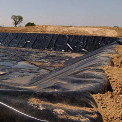 Cina Geomembrana in HDPE nero a doppia superficie liscia per la coltivazione di gamberetti in vendita