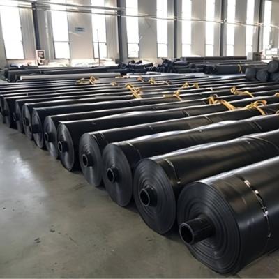 Cina Capacità di soluzione per progetti all'aperto 0,5 mm Livello di stagno per pesci in HDPE liscio con disegno grafico in vendita