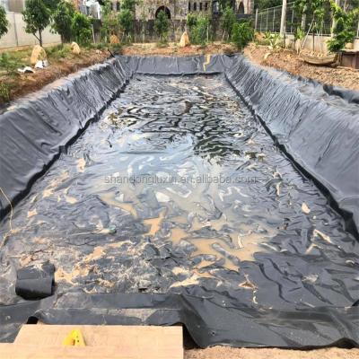 China Zwarte HDPE plasticscherm voor vijver voor vis garnalen zwembad Dam Consultatie Te koop