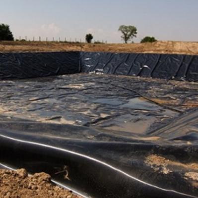 China Zwarte HDPE plasticscherm voor vijver voor vis garnalen zwembad Dam Consultatie Te koop
