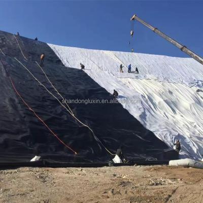 China Singapore Fish Shrimp Farming Waterdicht HDPE Geomembrane 0,3 mm met inspectie ter plaatse Te koop