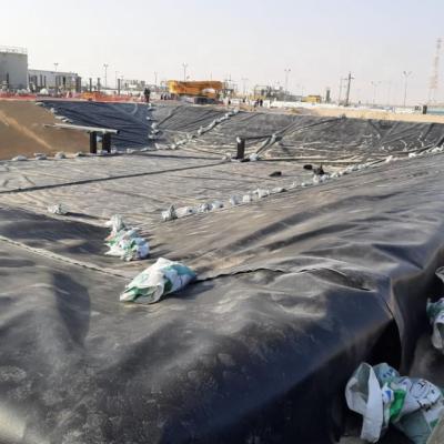 China Singapore Fish Shrimp Farming Waterdicht HDPE Geomembrane 0,3 mm met inspectie ter plaatse Te koop