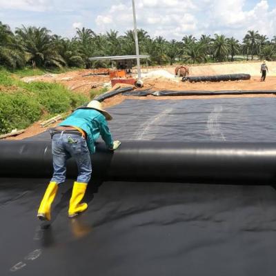China HDPE Liner 0.75mm Geomembrane voor 1.0mm Kunstmatige Lake Tank Dam Landfill Lining Te koop