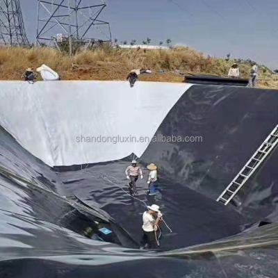 China HDPE Liner 0.75mm Geomembrane voor 1.0mm Kunstmatige Lake Tank Dam Landfill Lining Te koop
