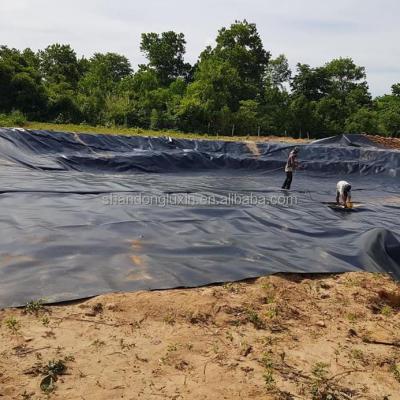 China 50-100m Lengte HDPE Geomembrane Liner voor mijnbouw Reservoir Dam Vissen vijver Garnalenboerderij Te koop