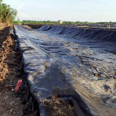 China Dubbel glad HDPE-geomembraan voor vishouderij en milieubescherming op stortplaatsen Te koop