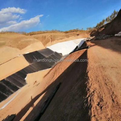 中国 ASTM GRI-GM13 標準 1mm HDPE 地膜 販売のため