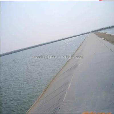 中国 ASTM GRI-GM13 標準 1mm HDPE 地膜 販売のため