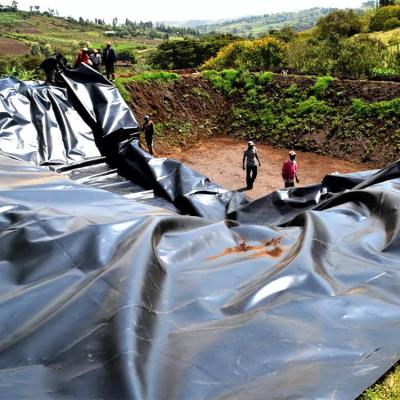 Cina 0.75mm Geomembrana HDPE impermeabile per serbatoi artificiali di laghi in vendita
