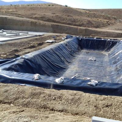 Cina Grandi rivestimenti di stagno a geomembrana in HDPE da 1 mm per superfici doppiamente lisce/doppia texture in vendita