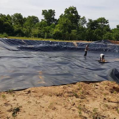 China EPDM/EVA Fish Pond Liner 1 mm 1,5 mm voor waterdicht geomembraan in industrieel ontwerp Te koop