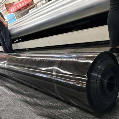 China Geomembraan Zwart HDPE-plaat Plastic Membrane voor waterreservoir en mijnbouw stortplaats Te koop