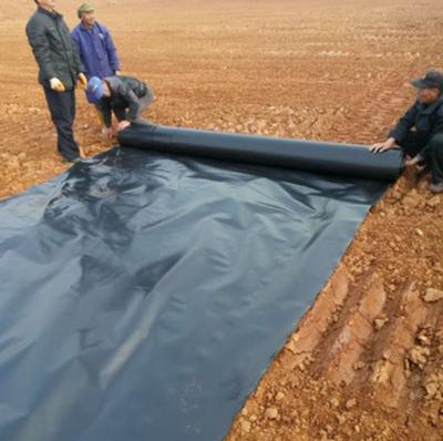 中国 プロジェクトソリューション能力 滑らかな養魚のための100% HDPE 地膜プールラインナー 販売のため