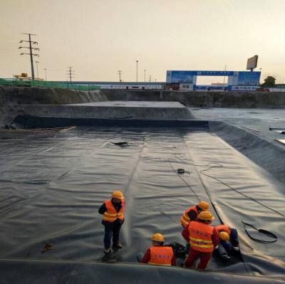 中国 プロジェクトソリューション能力 滑らかな養魚のための100% HDPE 地膜プールラインナー 販売のため