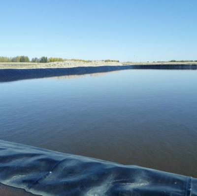 中国 プロジェクトソリューション能力 滑らかな養魚のための100% HDPE 地膜プールラインナー 販売のため
