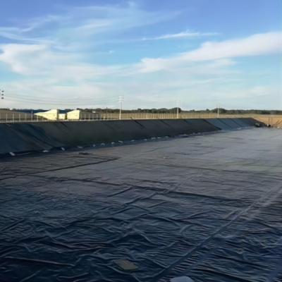 中国 プロジェクト ソリューション 能力 屋根の防水用の近代的な1.0mm HDPE魚池ラインナー 販売のため