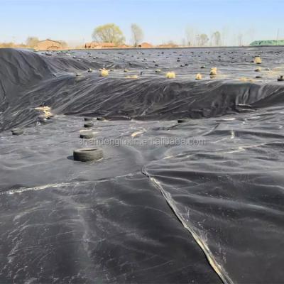 China Glanzende witte 1,5 mm HDPE-geomembraanrol voor zwembadvisboerderij Te koop