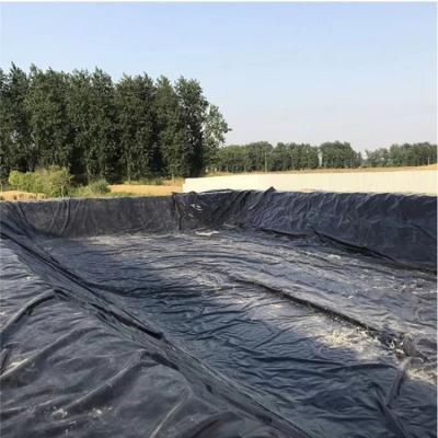 中国 1.0mm HDPE 水貯蔵タンクのための魚池ラインナー 耐老化規格 ASTM GRI-GM13 販売のため