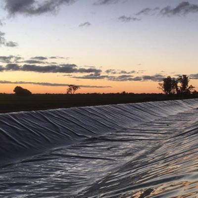 China 1.5mm HDPE Geomembrane Fish Pond Liner para Depósitos Diretamente dos Fabricantes à venda